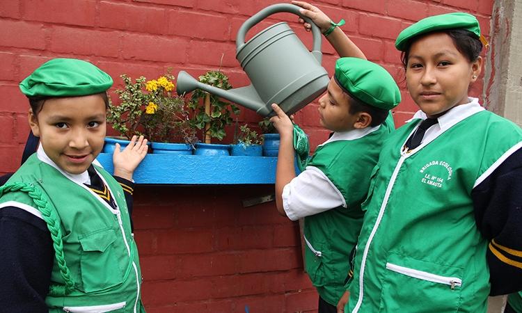 Se eligió a los colegios con logros ambientales a nivel regional – DRELM